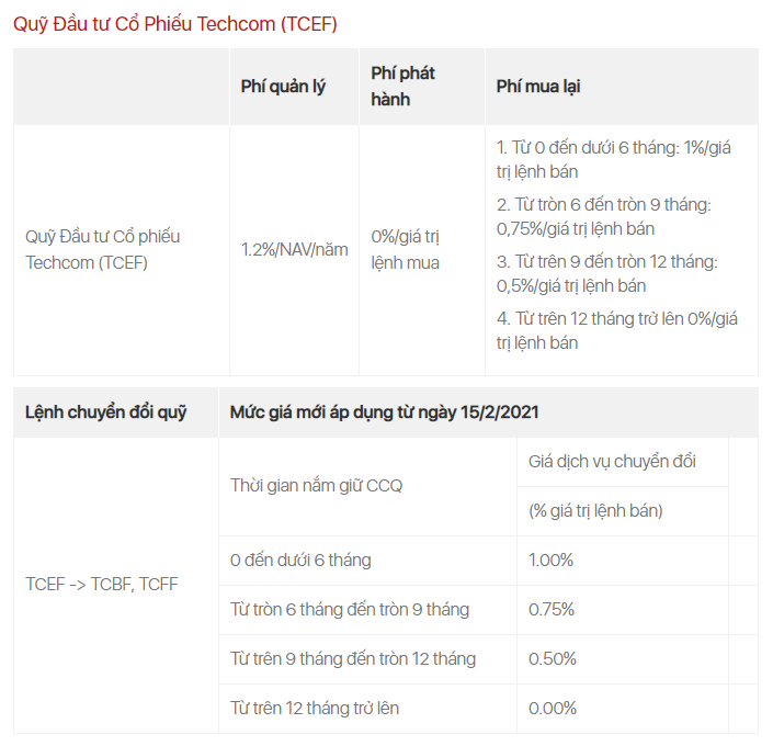 Quỹ cổ phiếu Techcom Top 30 (TCEF) | Techcombank